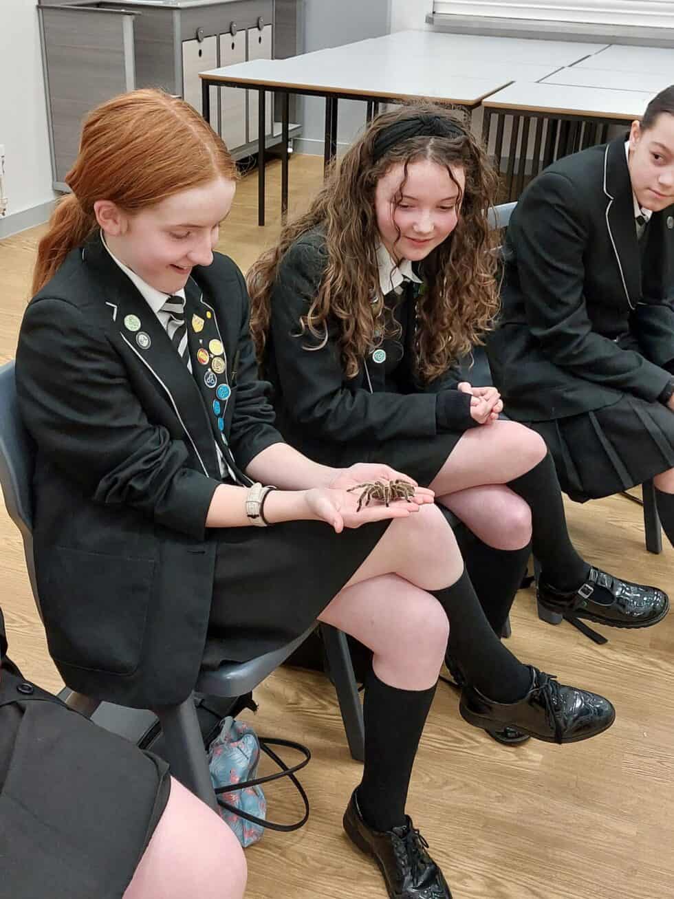 March, 2022 - Laurus Ryecroft